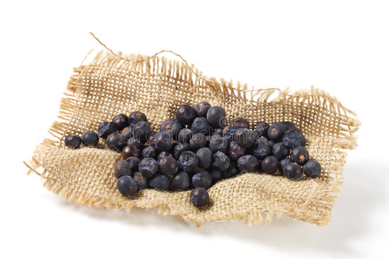Juniper Berries on Burlap stock image. Image of berry - 29724805