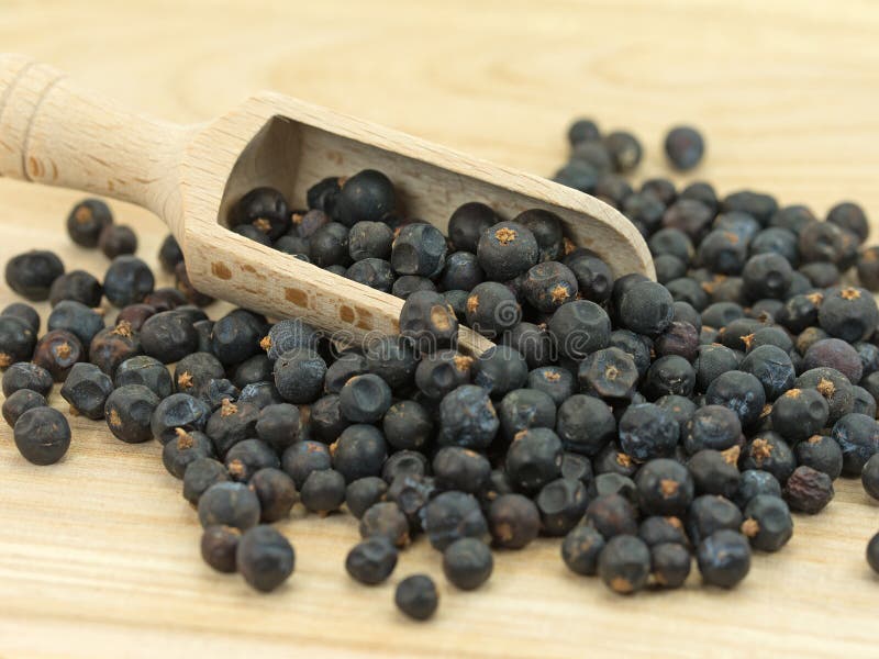 Juniper Berries on a Spice Scoop Stock Image - Image of cook, spice ...