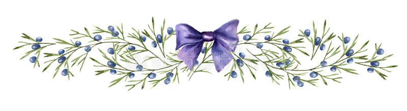 Juniper Branches with Bow Watercolor Border Stock Illustration ...