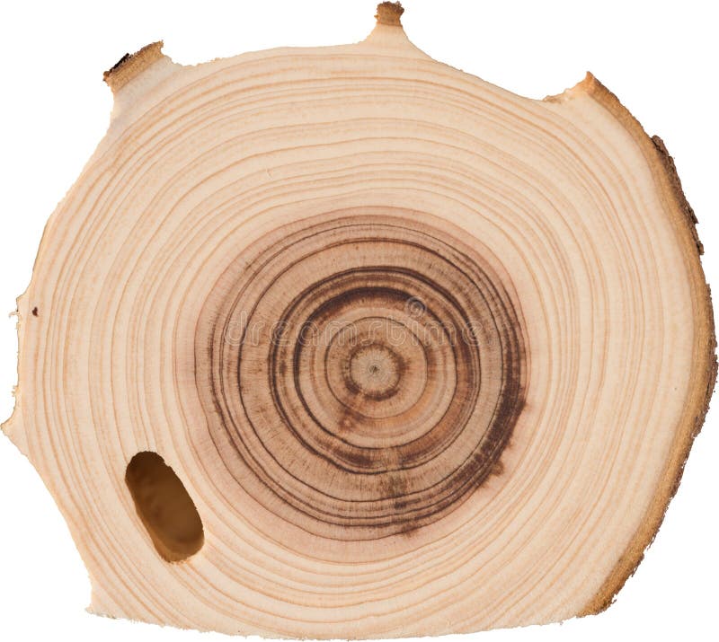 Core Slab Stock Photos - Download 543 Royalty Free Photos