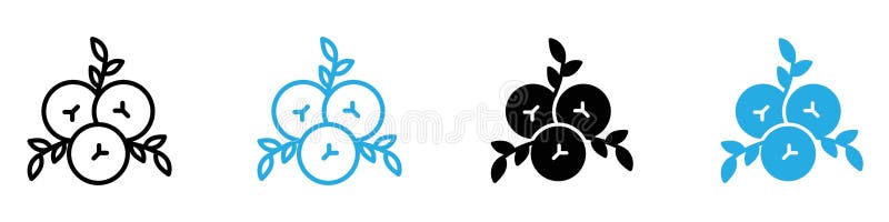 Juniper Icon for Botanical Illustrations, Nature Art, and Herbal ...