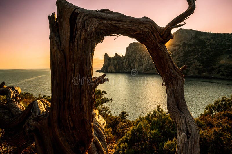 Juniper Loop stock photo. Image of mountain, bright - 302447826