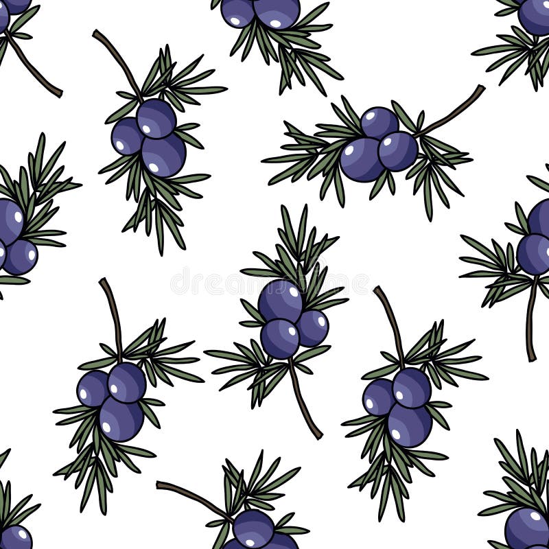 Juniper Seamless Doodle Pattern Stock Illustration - Illustration of ...