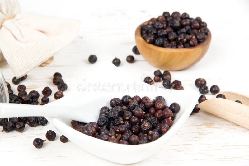 Juniper Seed Heaps stock image. Image of organic, grain - 69670005