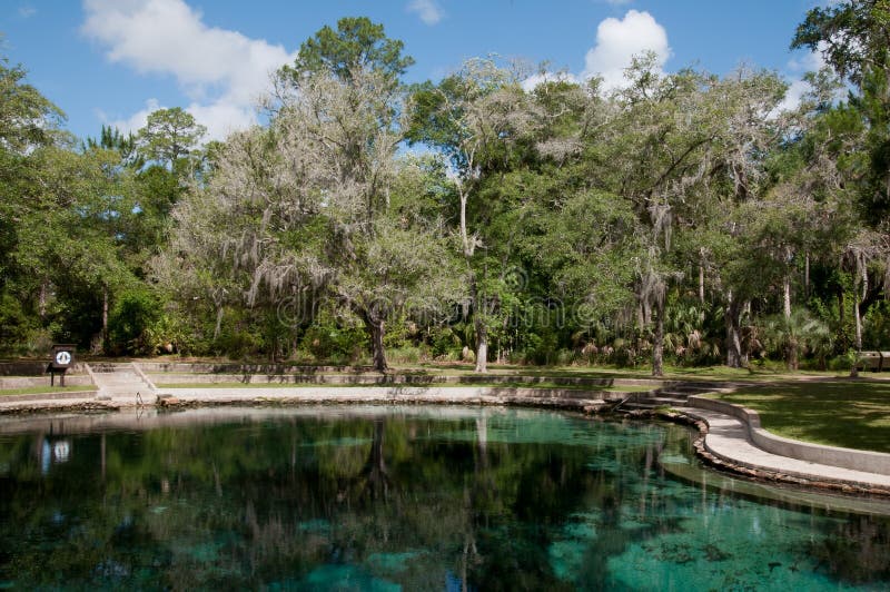 Juniper Springs stock image. Image of swimming, holiday - 21763689