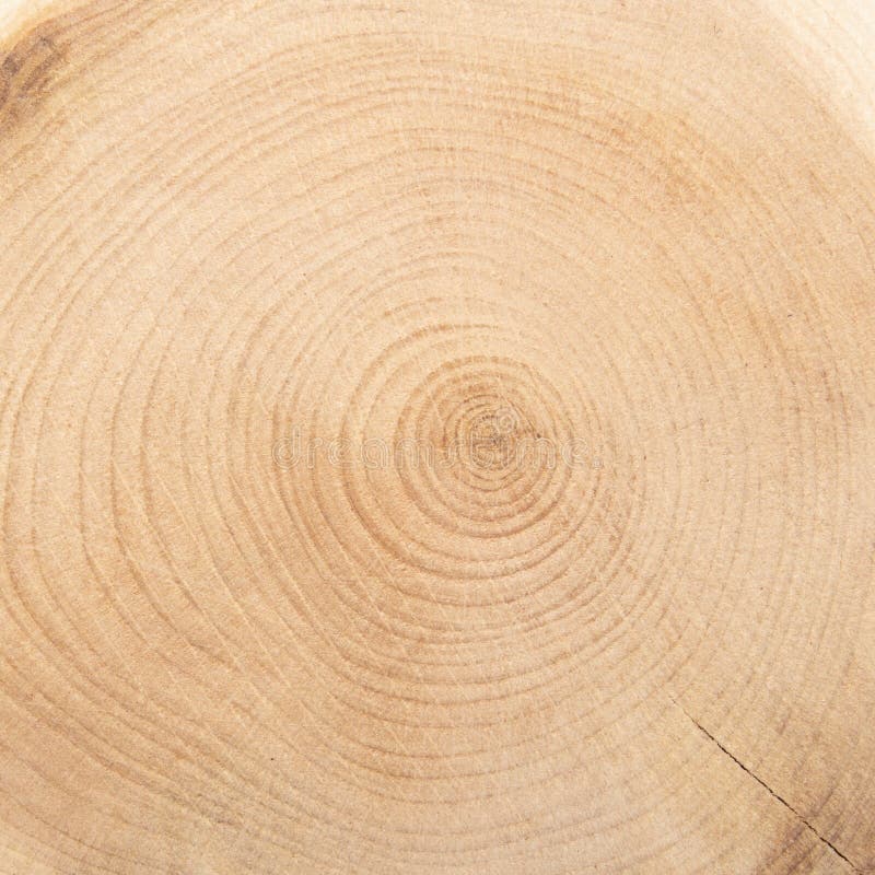 Old Wood Tree Design Juniper Background Texture Stock Photo - Image of ...