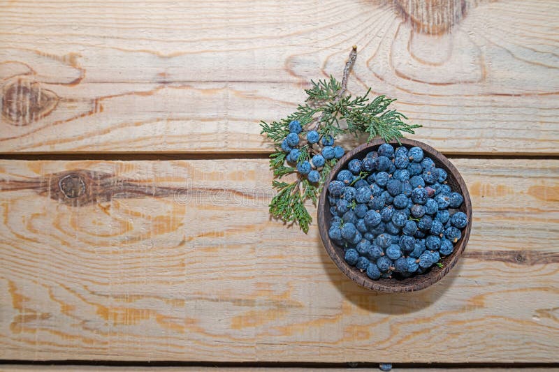 Juniper Tree Seeds on a Wooden Floor Stock Photo - Image of medicine ...