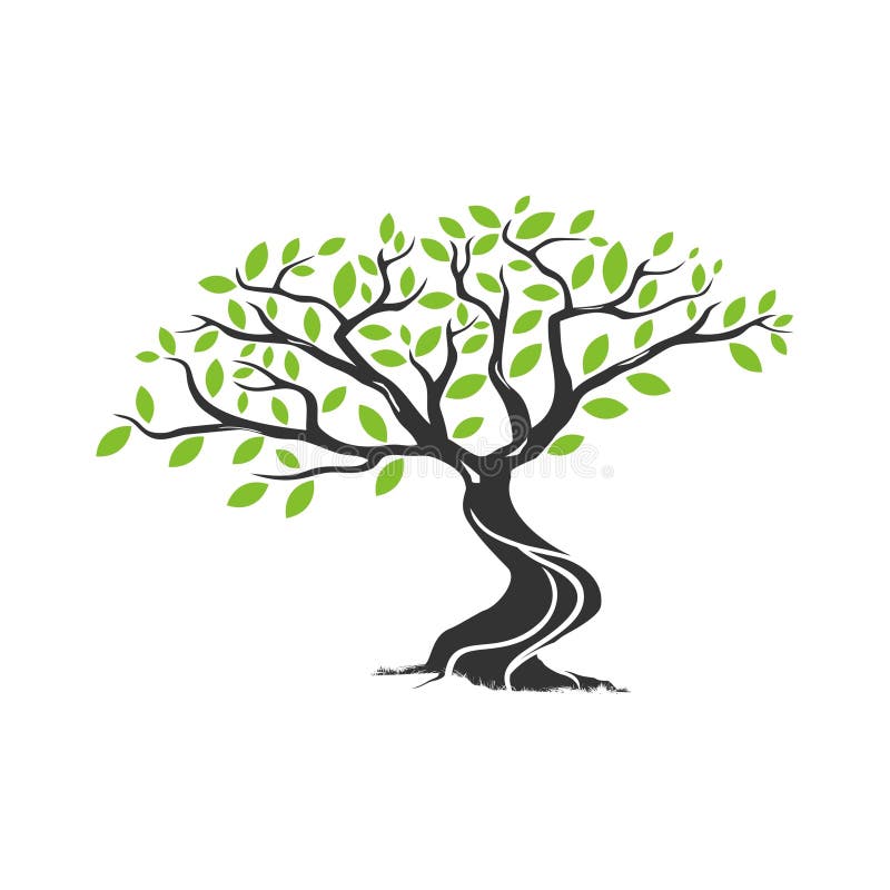 Juniper Tree Vector Illustration, Environment Element, Landscape Design ...