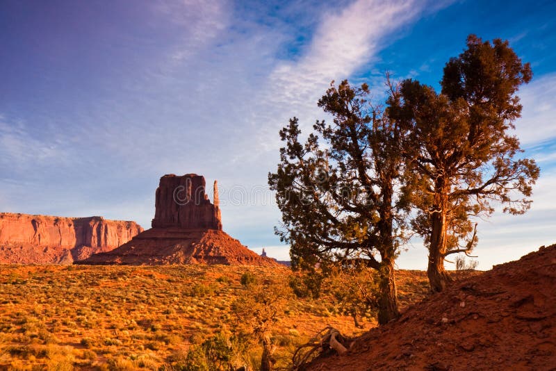 Junipers in Monument Valley Stock Image - Image of desert, stone: 12157253