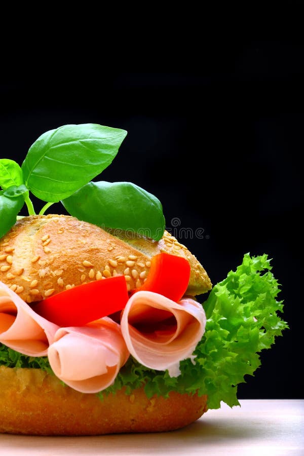 Junk food stock image. Image of cooked, fast, isolated - 21812117