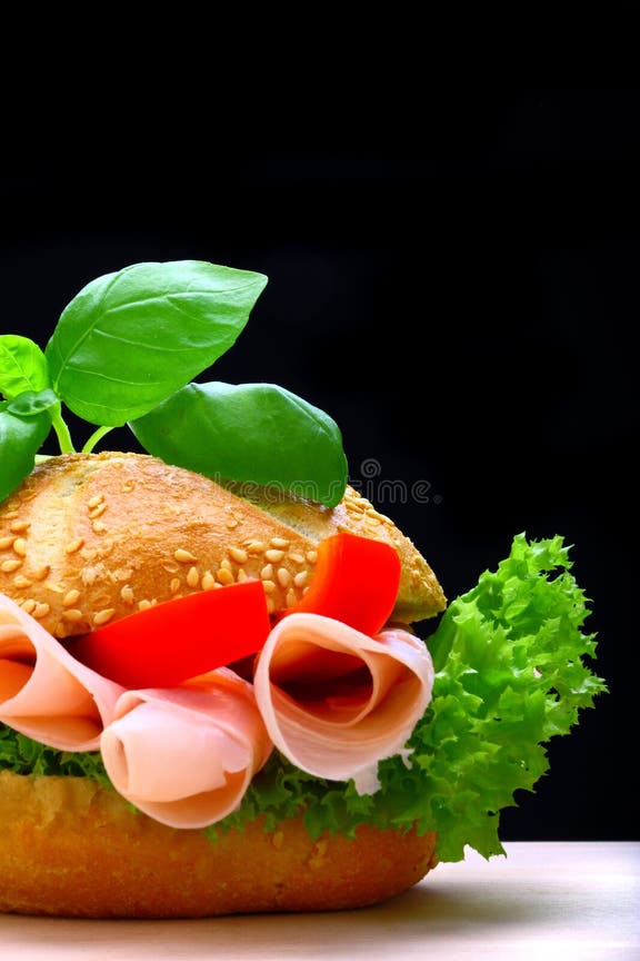 Junk food stock image. Image of cooked, fast, isolated - 21812117