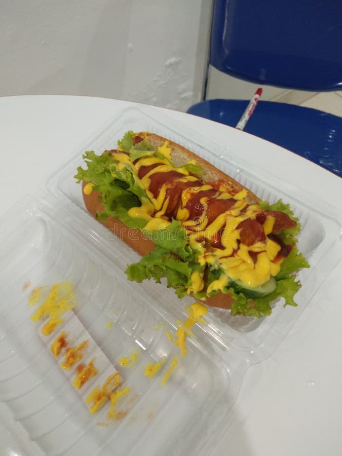 Junk Food Deliziouz stock photo. Image of junk, hotdog - 261989630