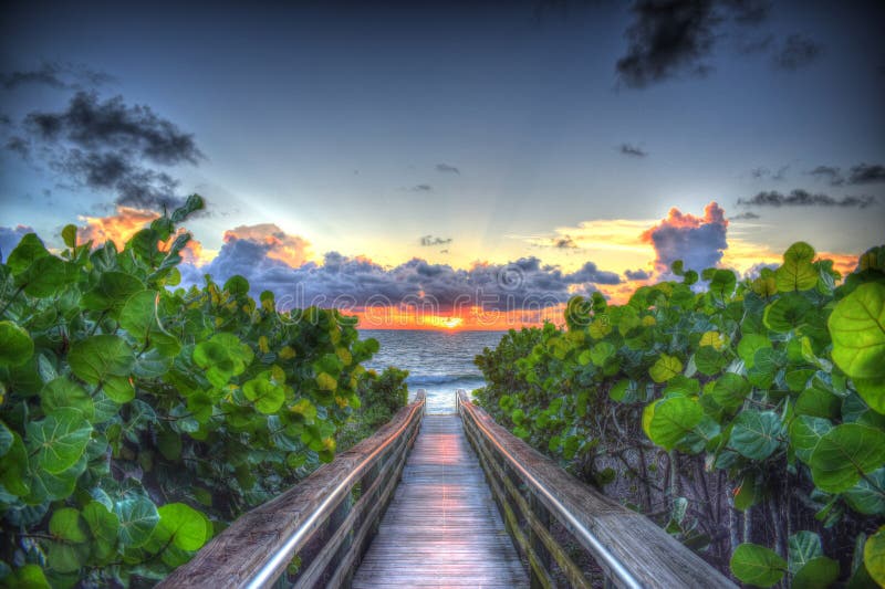 Jupiter Florida Sunrise at Beach Boardwalk Entrance Stock Photo - Image ...