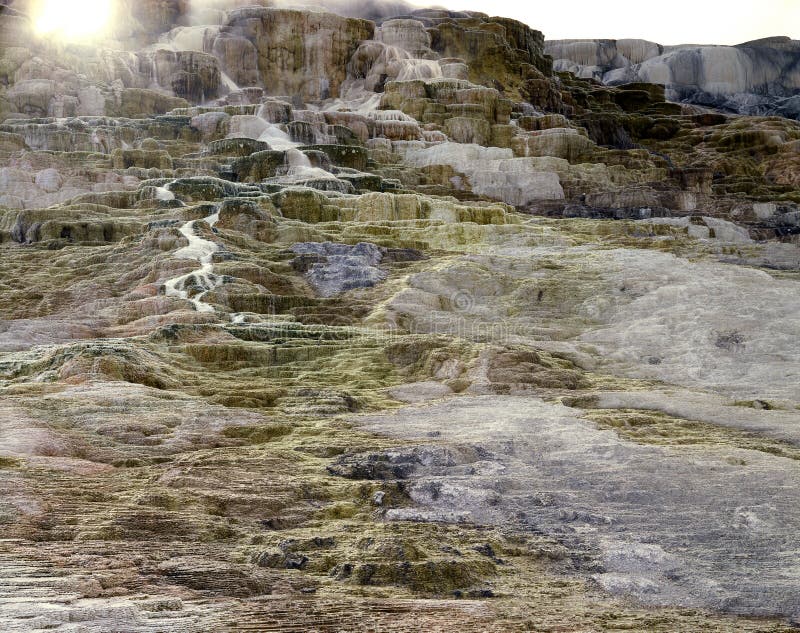 Jupiter Terrace at Mammoth Hot Springs Yellowstone National Park ...