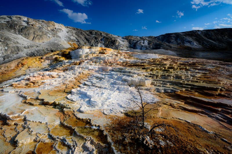 Jupiter Terrace at Mammoth Hot Springs Yellowstone National Park ...
