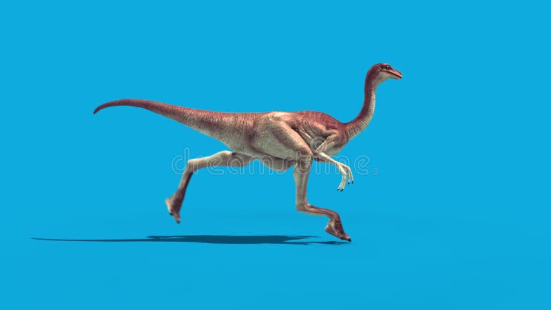 Jurassic World Gallimimus Walkcycle Side Blue Screen 3D Rendering ...