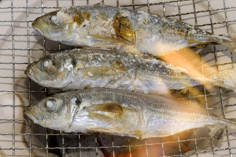 Jureles imagen de archivo. Imagen de caballo, cocinero - 10153953