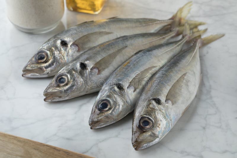 Jurel Fresco Sobre Fondo Blanco Foto de archivo - Imagen de alimento ...