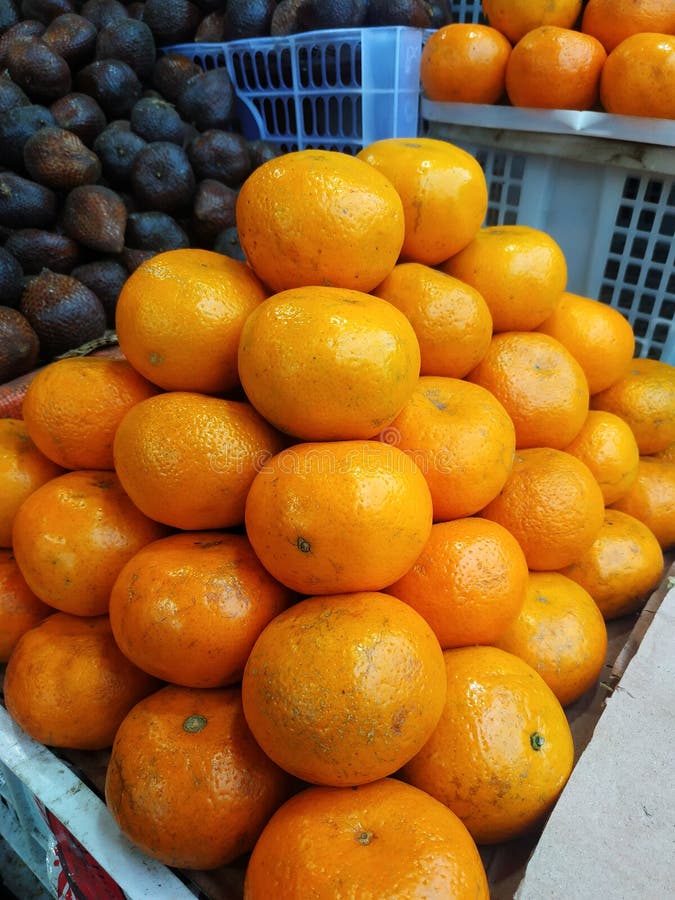 A jus orange stock image. Image of gourd, tomato, tree - 208300555