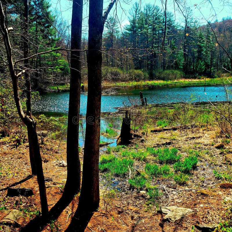 Just another vermont pond stock image. Image of reflectio - 182186769