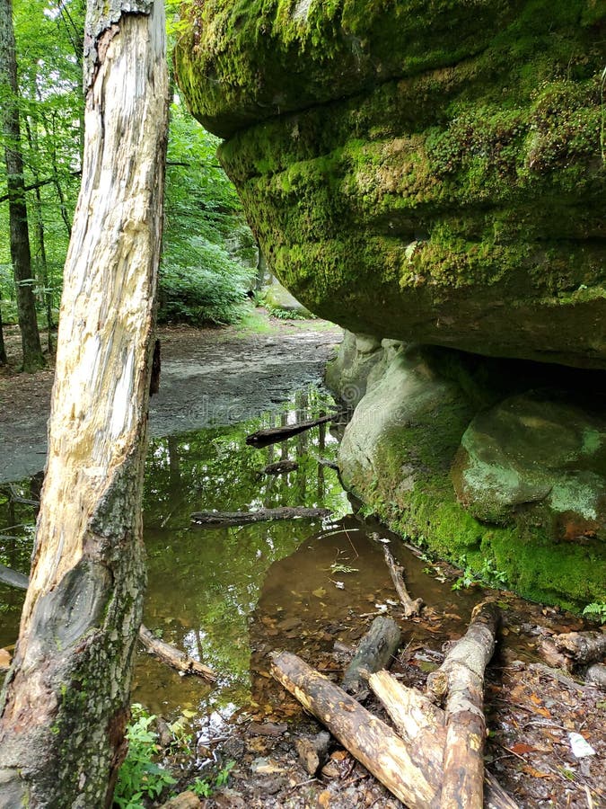 Around the bend stock image. Image of dark, outside, reflection - 4426941