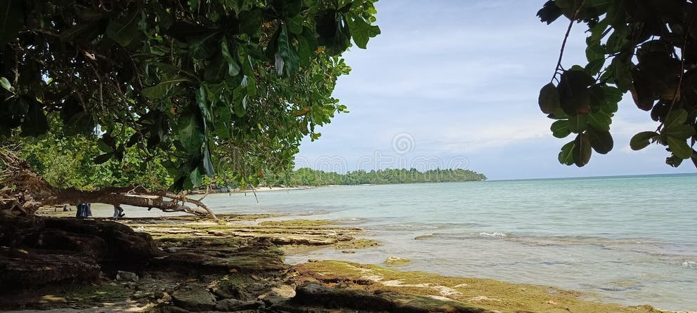 Just a Beautiful Landscape of a Beach Stock Photo - Image of choral ...
