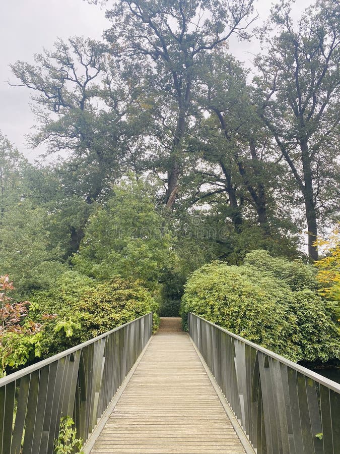 Just a bridge stock photo. Image of steel, heaven, castle - 263769656