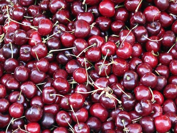 Just cherries stock image. Image of vitamine, round, sweet - 20490749