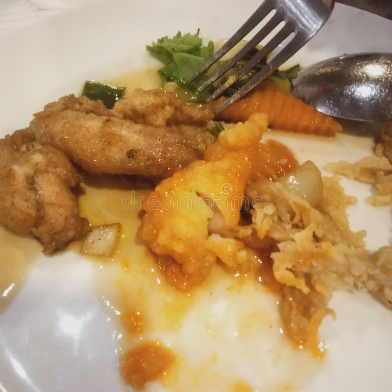 Just Chiken Sous and Fish Crispy and Little Vegetable .. Stock Image ...