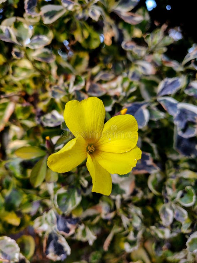 Picwith Stock Photos - Free & Royalty-Free Stock Photos from Dreamstime