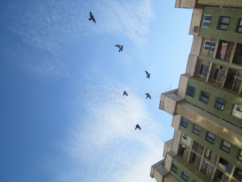 Just flying stock photo. Image of flying, shifted, perspective - 80339362