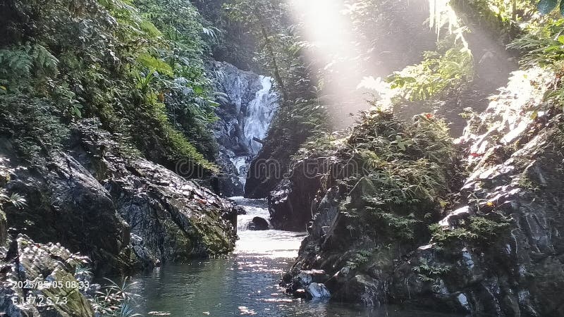 Just follow the flow stock photo. Image of water, flow - 378983324