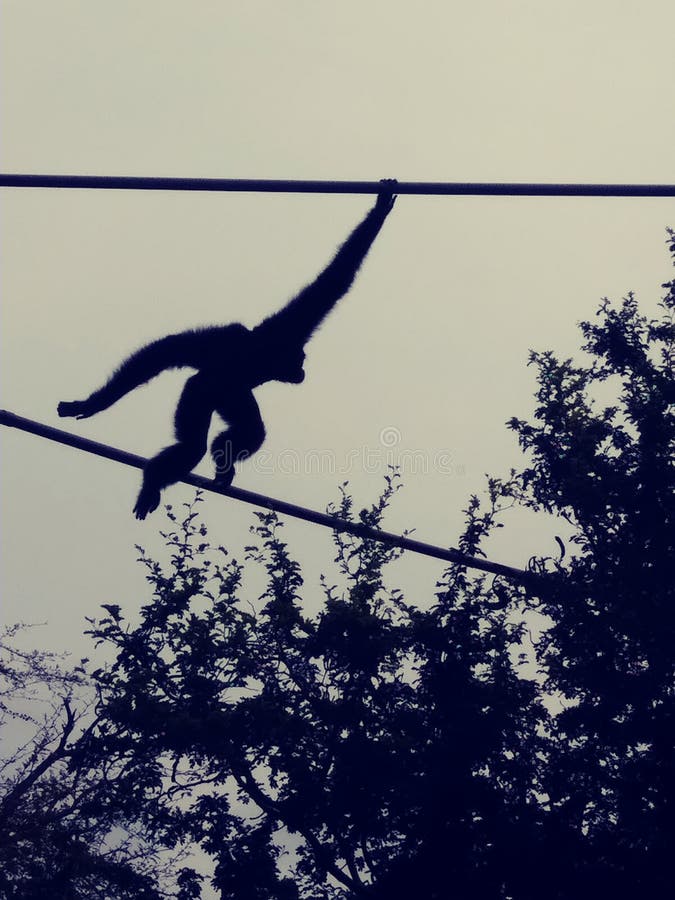 Just hanging around stock image. Image of formation, clear - 383547