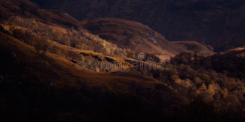 Just a hint of light stock image. Image of scotland, grass - 28424291