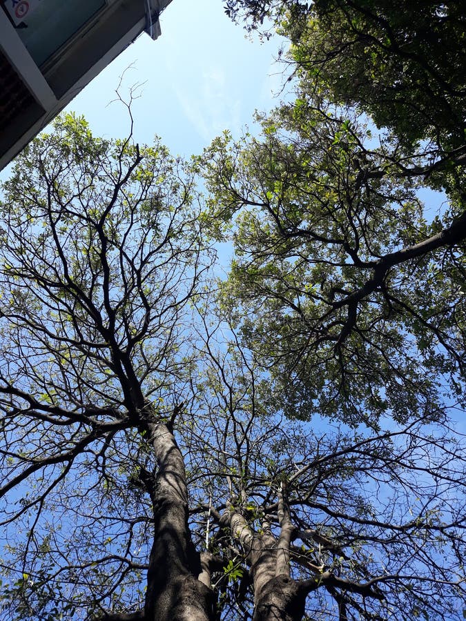 Just Keep Growing and Glowing Man. Stock Photo - Image of growing ...