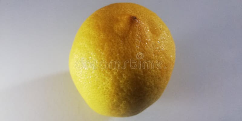Just lemon of me stock photo. Image of nature, natural - 225148702