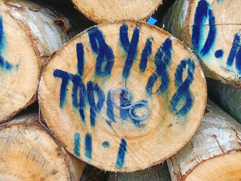 Just Log and Words for the Good Future Stock Photo - Image of good ...