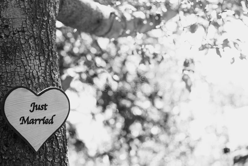 Just Married Tree stock illustration. Illustration of love - 50916417