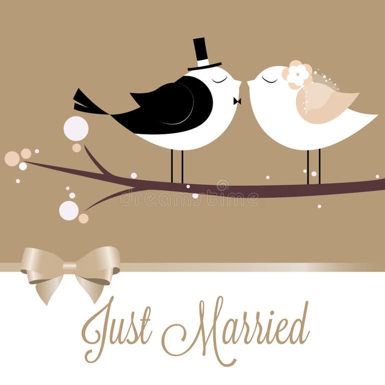 Just Married Love Birds Stock Illustrations – 96 Just Married Love ...
