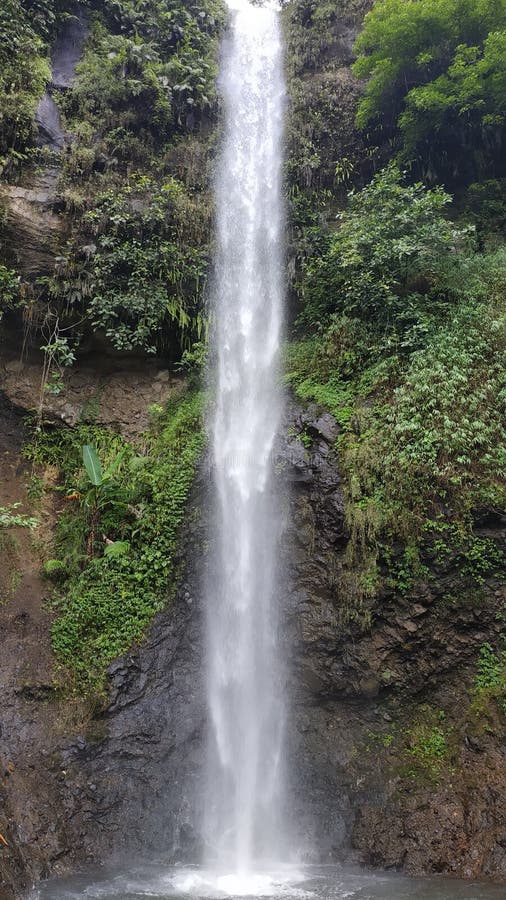 535 Waterfall Straight Stock Photos - Free & Royalty-Free Stock Photos ...