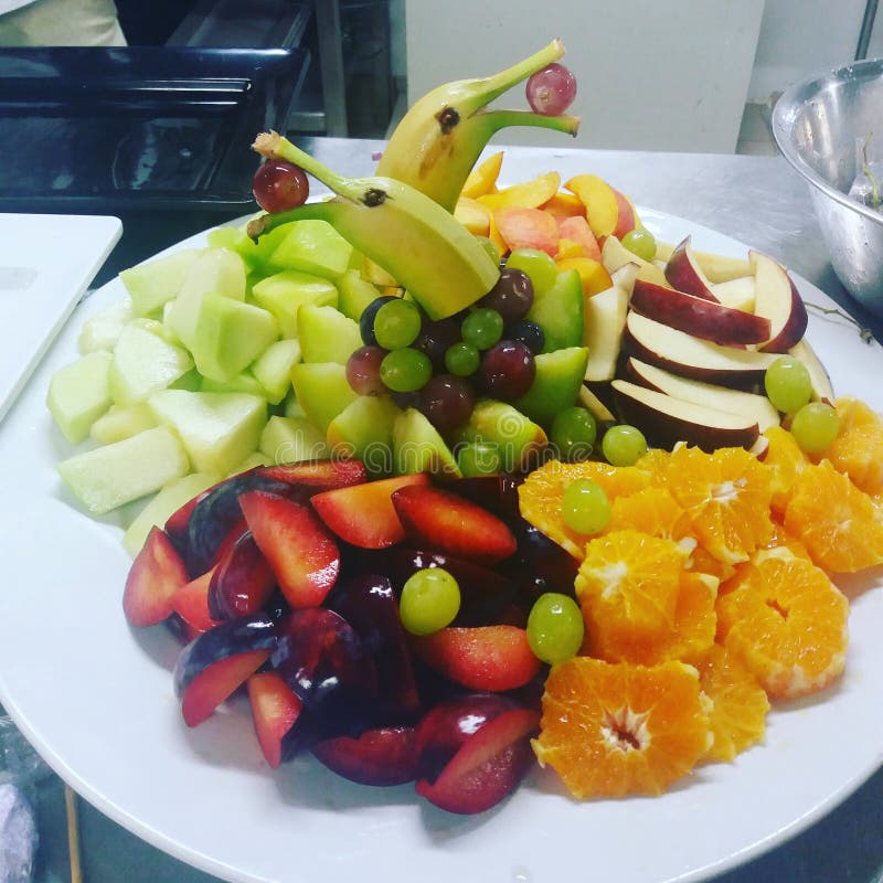 Just a normal food plate stock photo. Image of oranges - 134948794