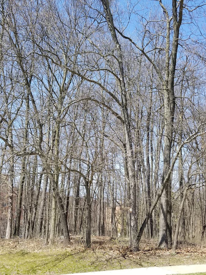 Wmus Stock Photos - Free & Royalty-Free Stock Photos from Dreamstime