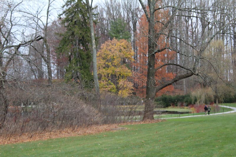 Just a Regular Fall Day stock image. Image of live, couple - 131168667