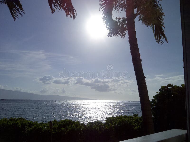 Just Relax stock image. Image of relax, form, view, burton - 50071939