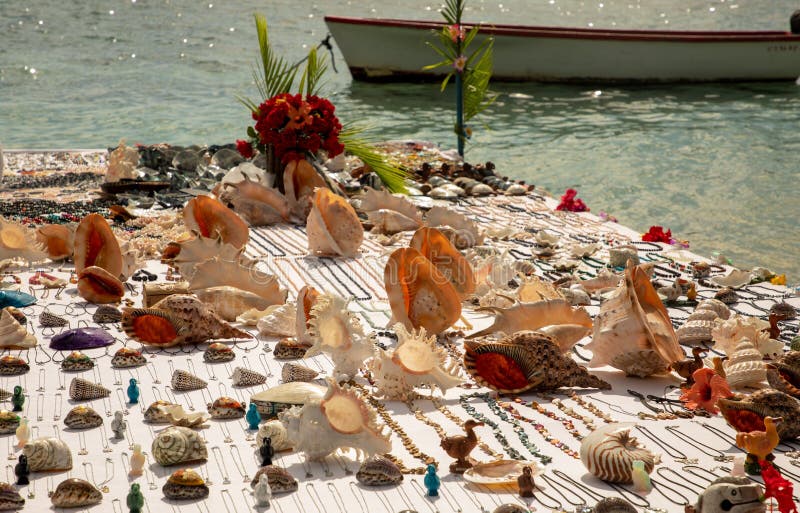 Just sea shells stock photo. Image of display, shack - 153621802