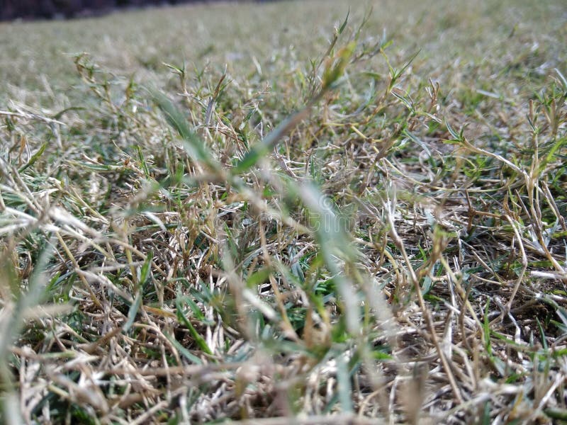 Just a small pic stock photo. Image of small, simple - 110117556