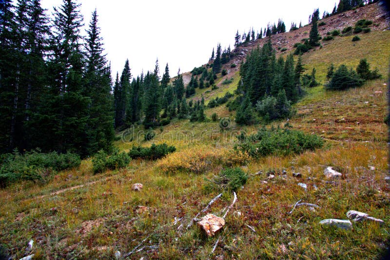 Early Spring on Mountain Slope Stock Image - Image of green, peak ...