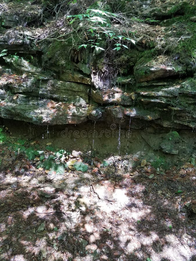 Just a trickle stock photo. Image of flower, stream - 180465844