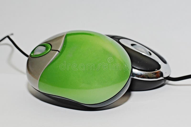 Just Two Of Mouse Picture. Image: 6486381