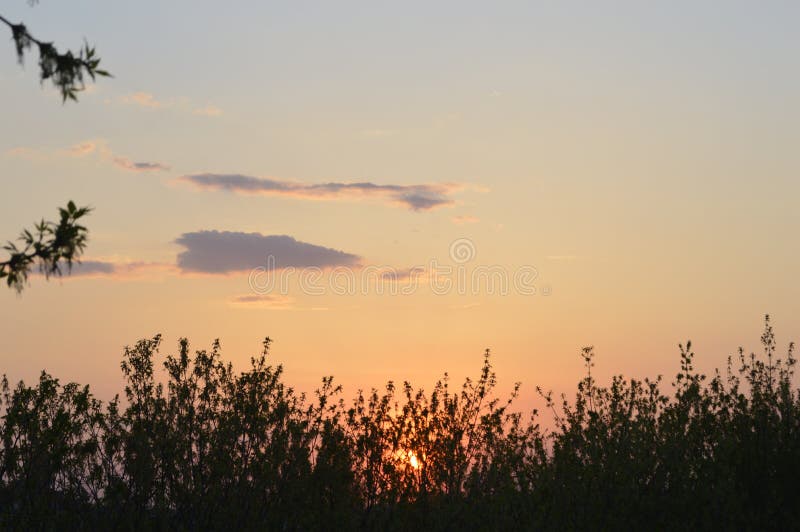 Aube Rose Photos Stock - Téléchargez 29,471 Photos libres de droits